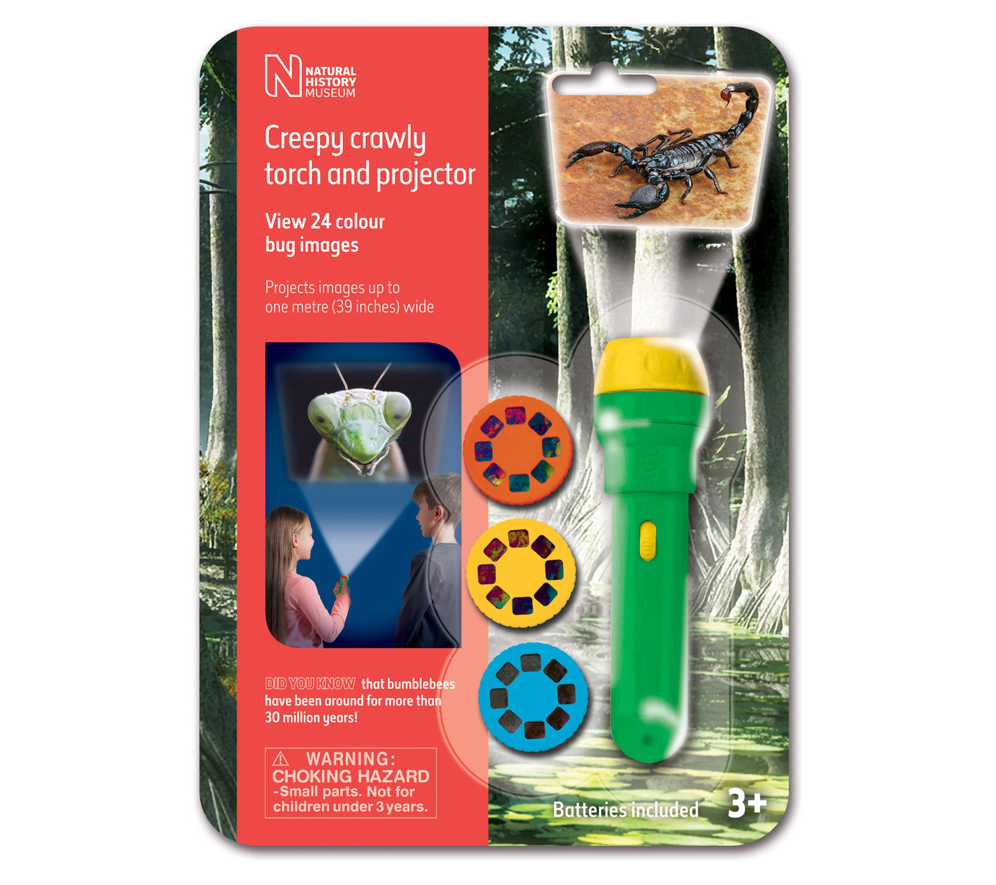 Creepy Crawly Flashlight and Projector Stem Toy - QVC.com