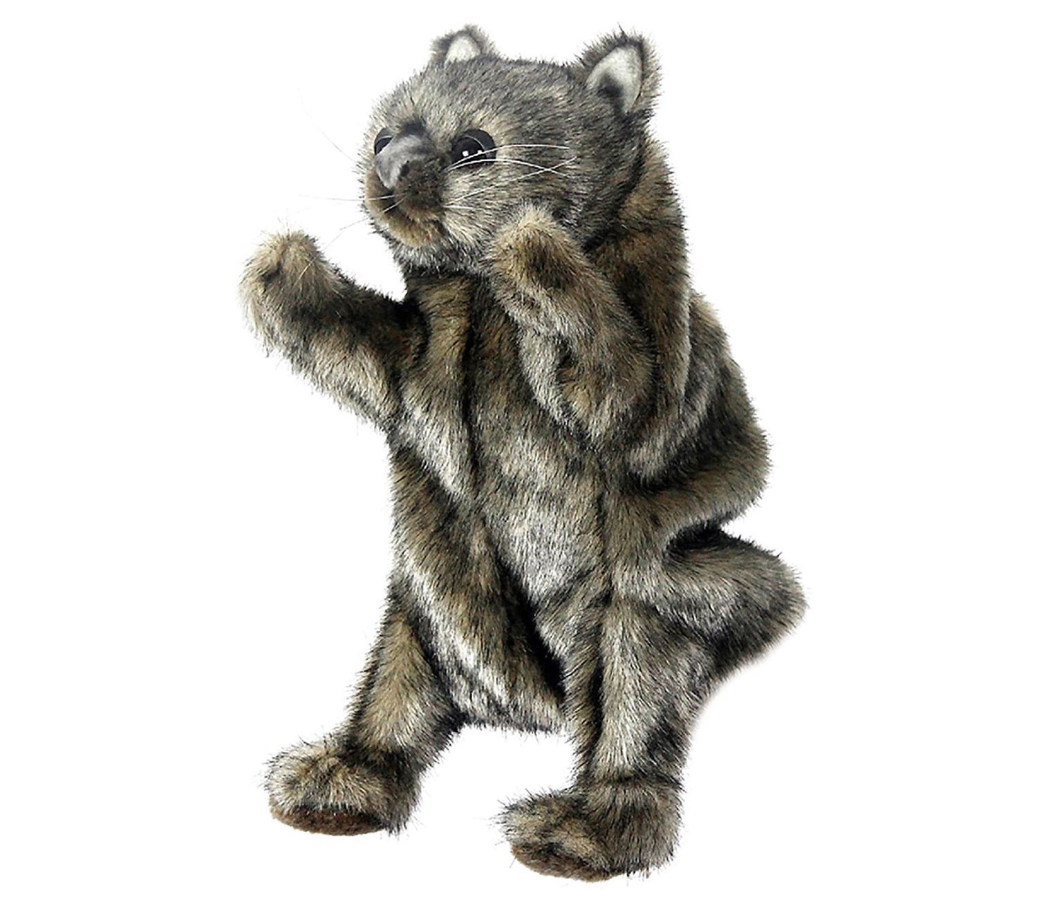 Hansa 9" Wombat Hand Puppet - QVC.com