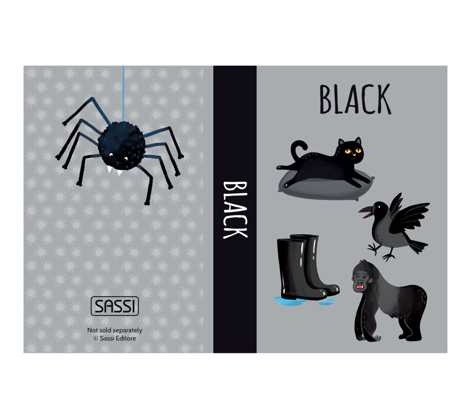 Sassi: My First Library, Colors, 8 Cardboard Mini-Books - QVC.com