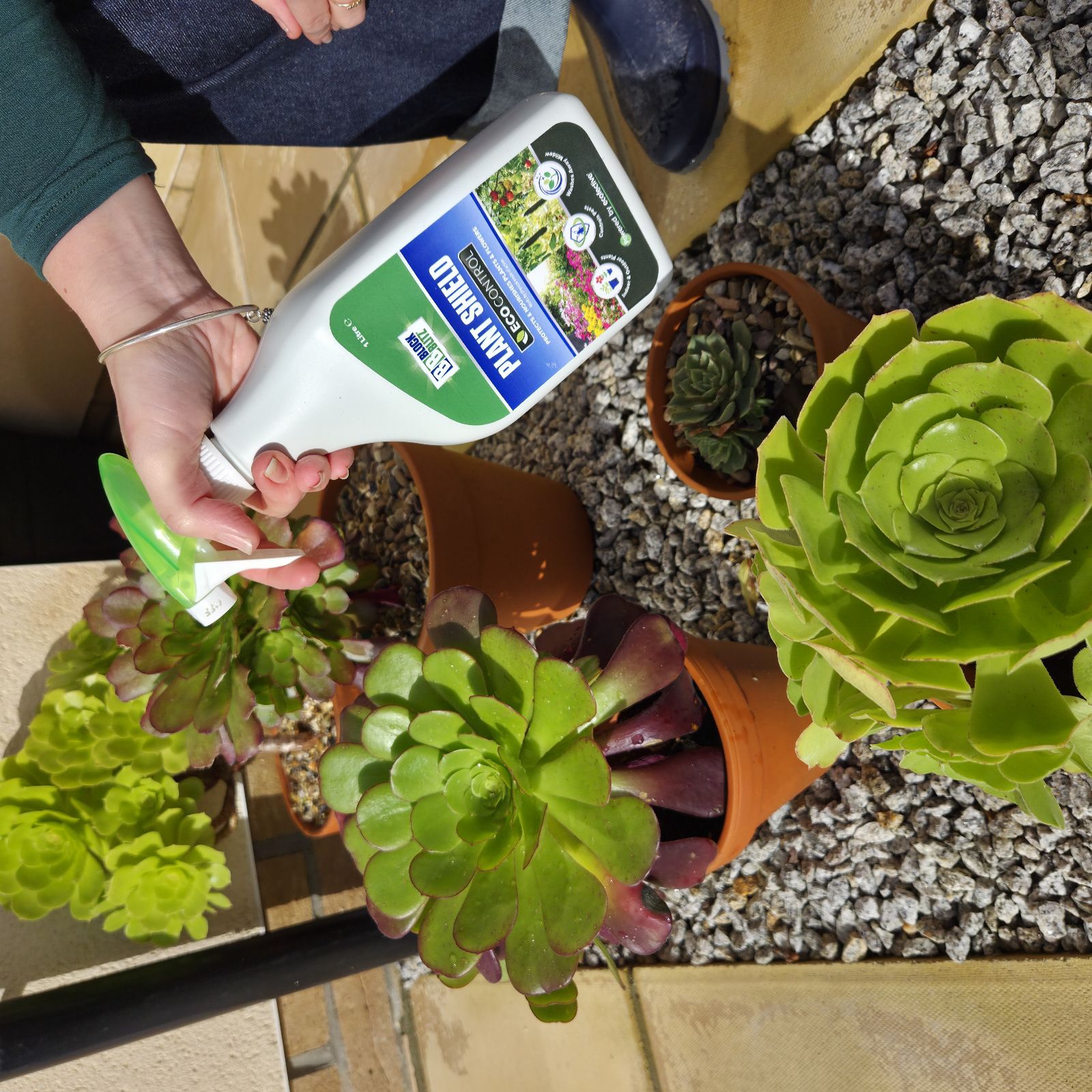 Plant Shield 1 Litre with Refill - QVC UK