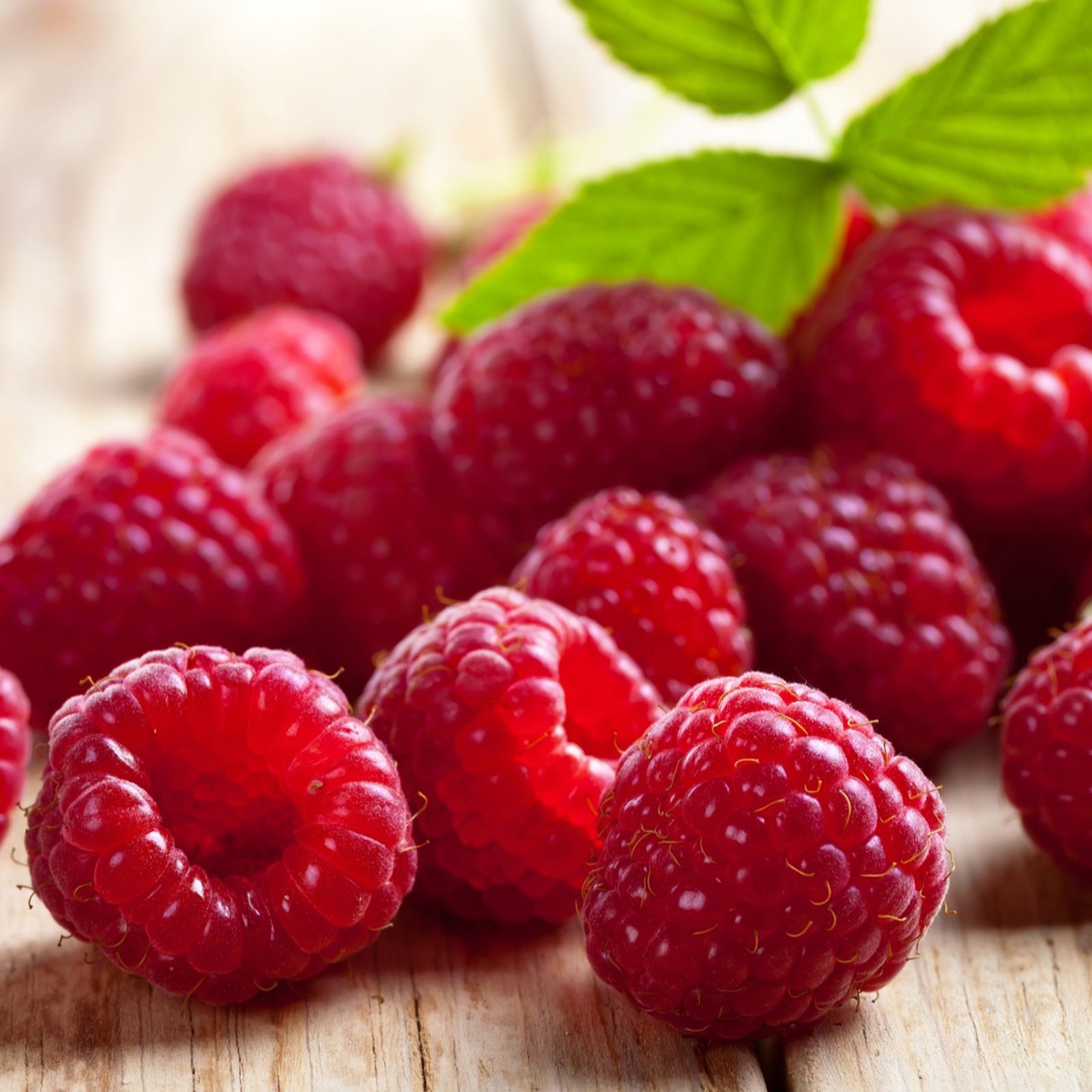 Suttons Raspberry Full Season Collection 9 Canes - QVC UK