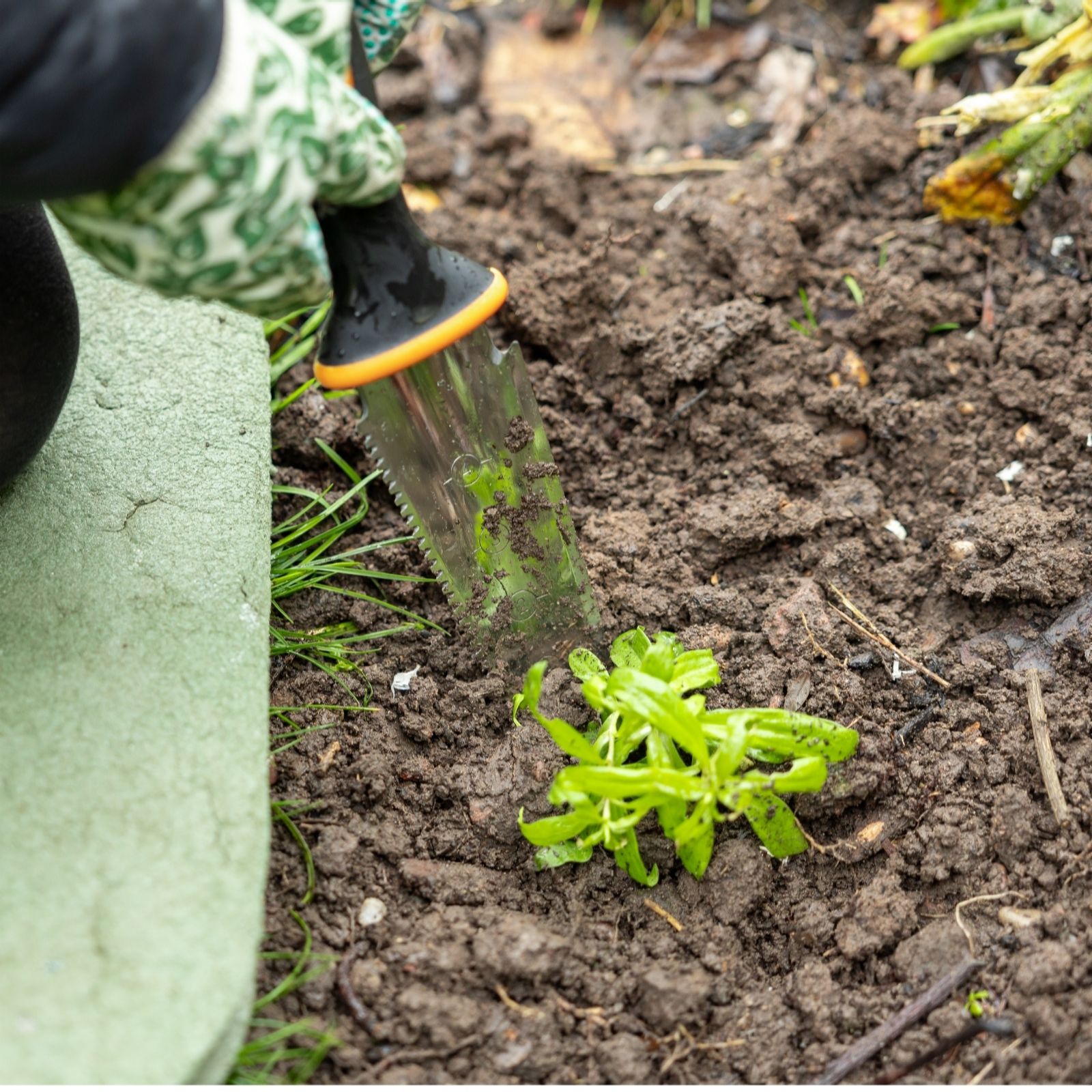 Outlet Buildcraft Hori Knife - QVC UK