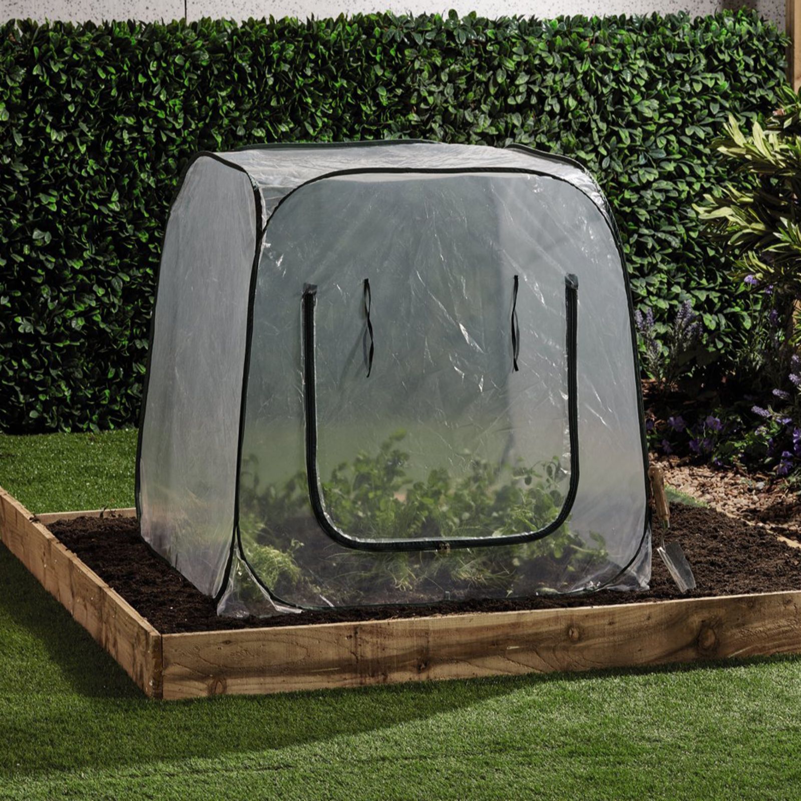 Thompson & Morgan Pop Up Garden Cloche - QVC UK