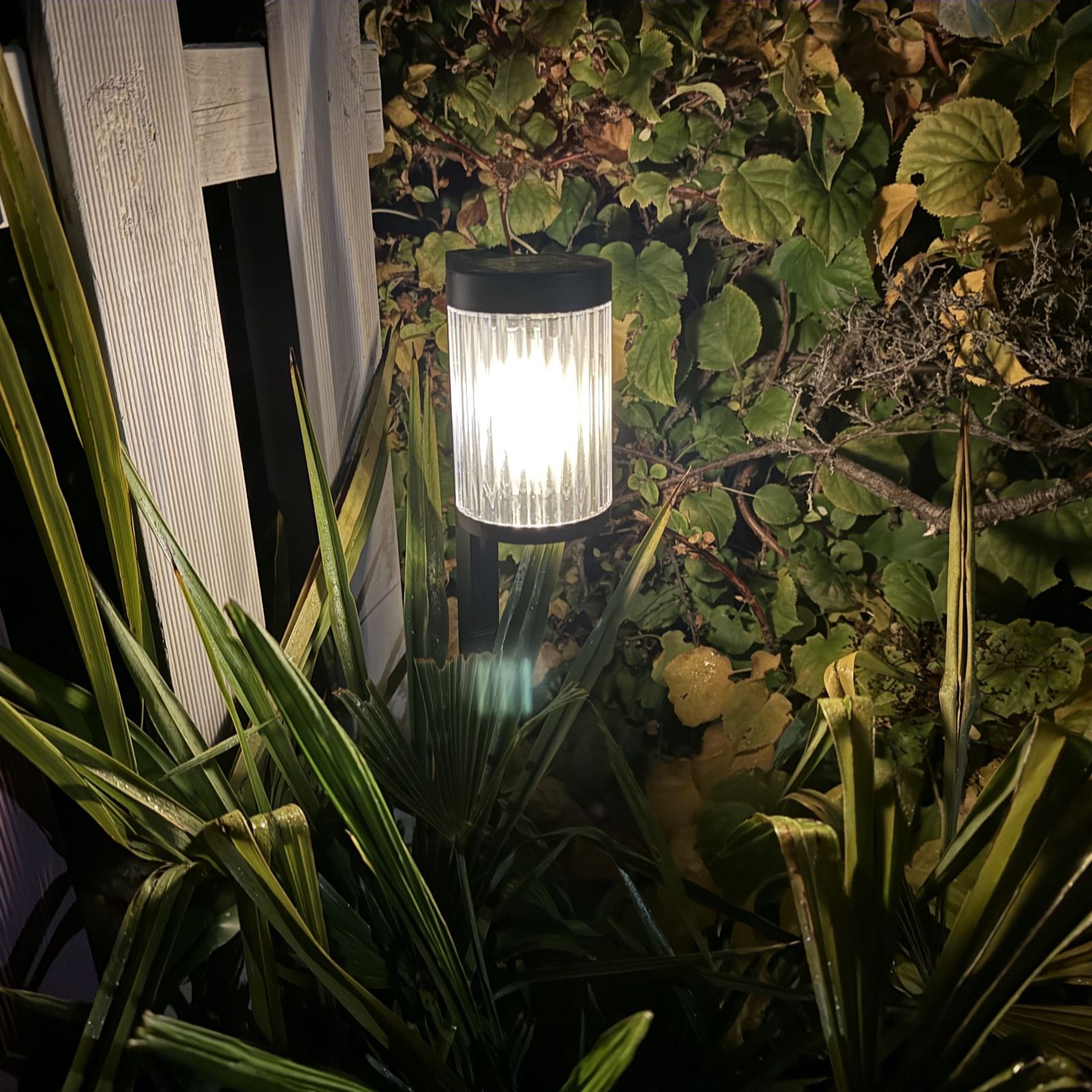 Qvc solar lights store