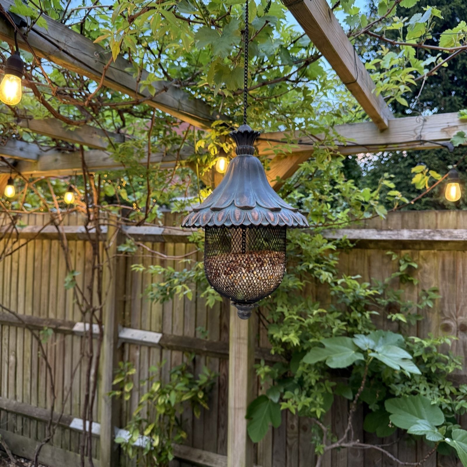 Outlet Garden Reflections Floral Bird Feeder - QVC UK