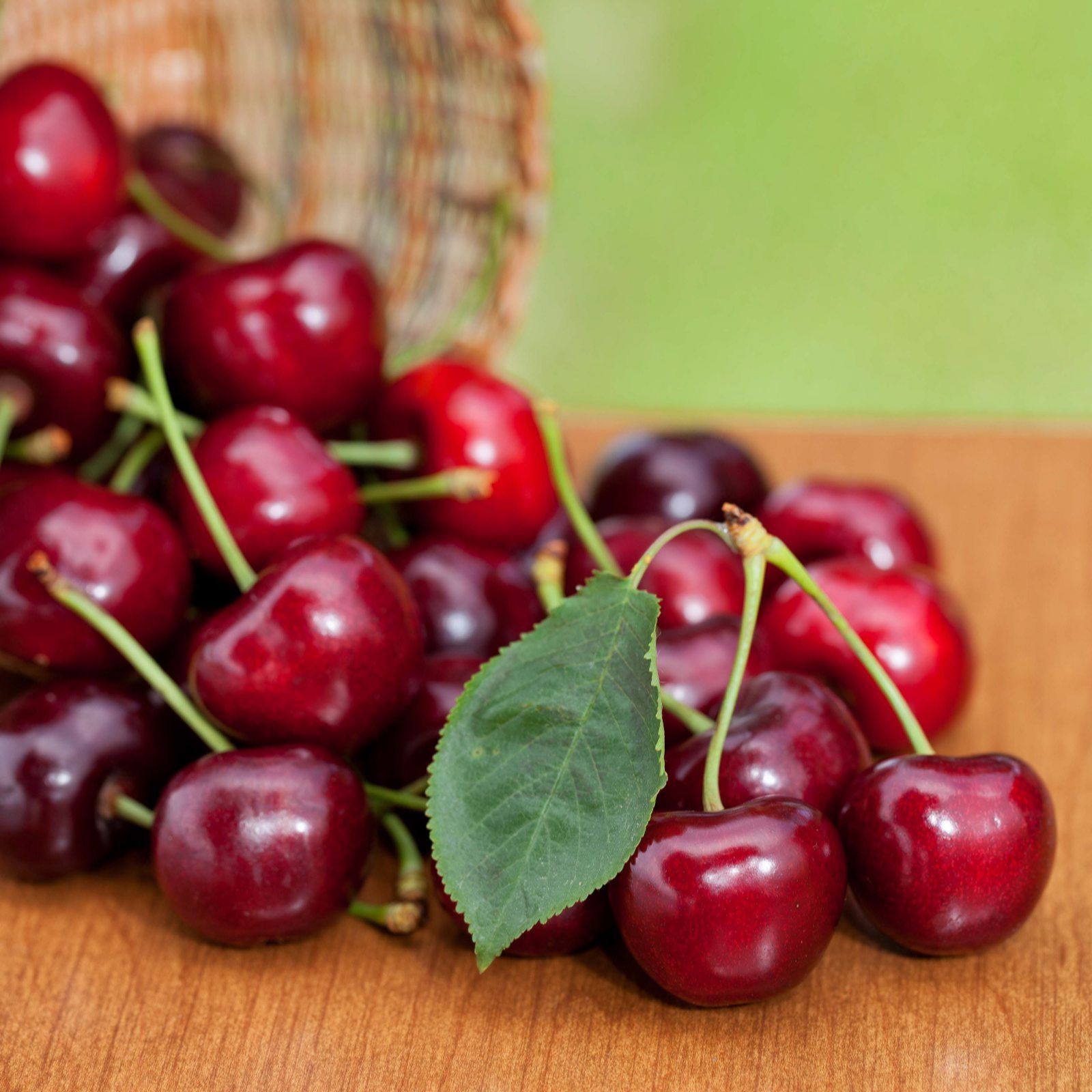 Suttons Cherry (Prunus) Duo Cherry Family Tree 5 Litre Pot x 1 - QVC UK