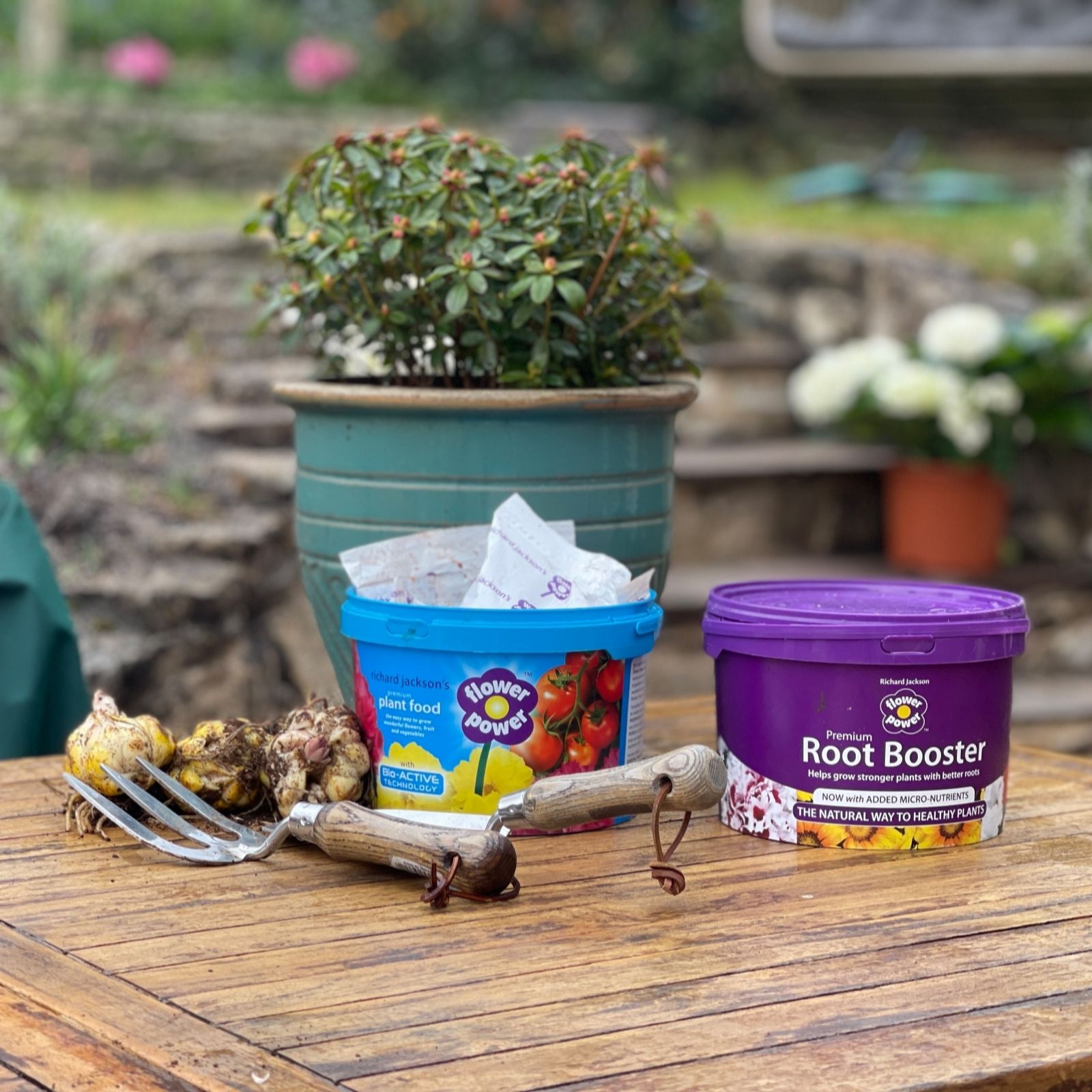 Richard Jackson Premium Rootbooster Plus 2kg - QVC UK