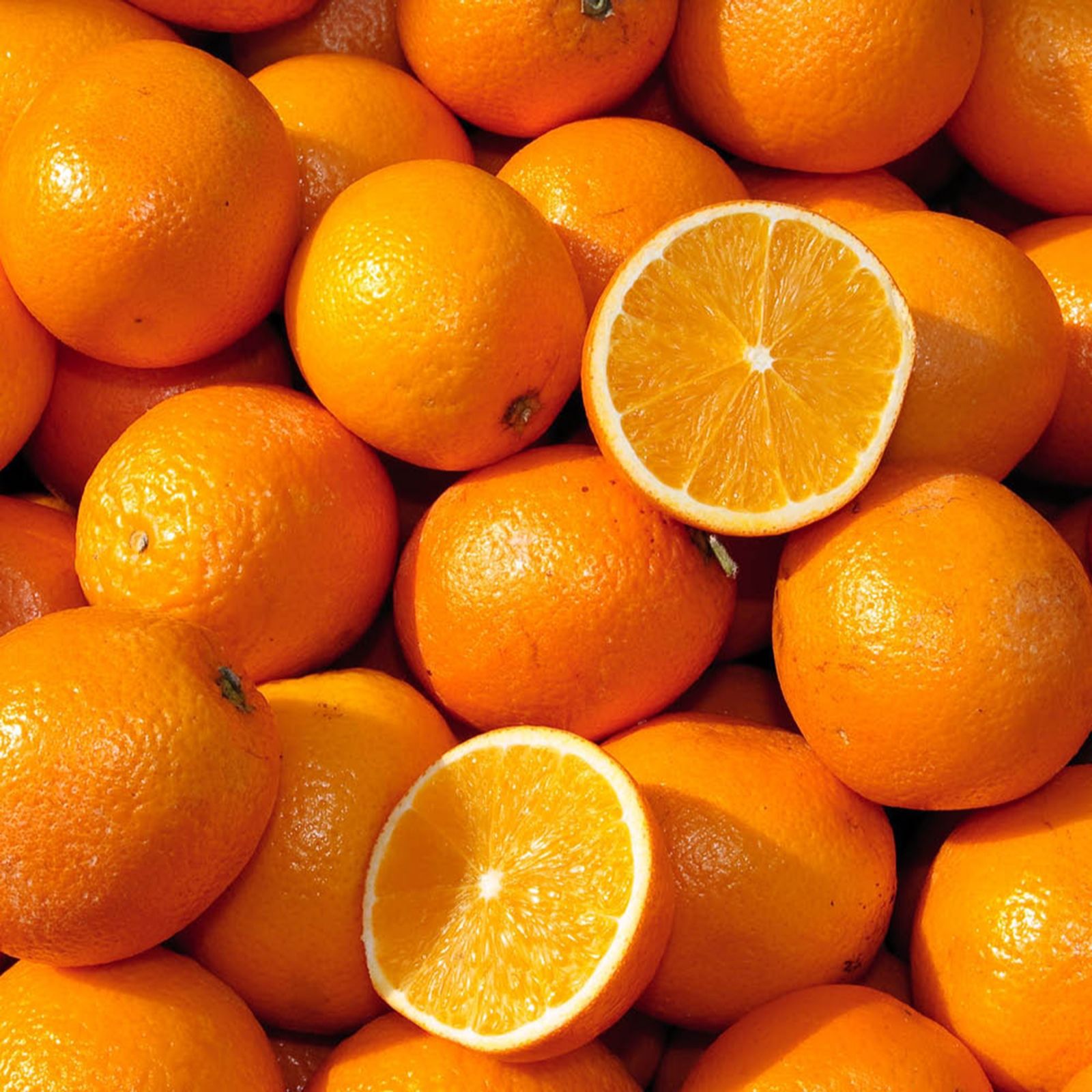 YouGarden Extra Large Orange Tree in 7 Litre Pot - QVC UK