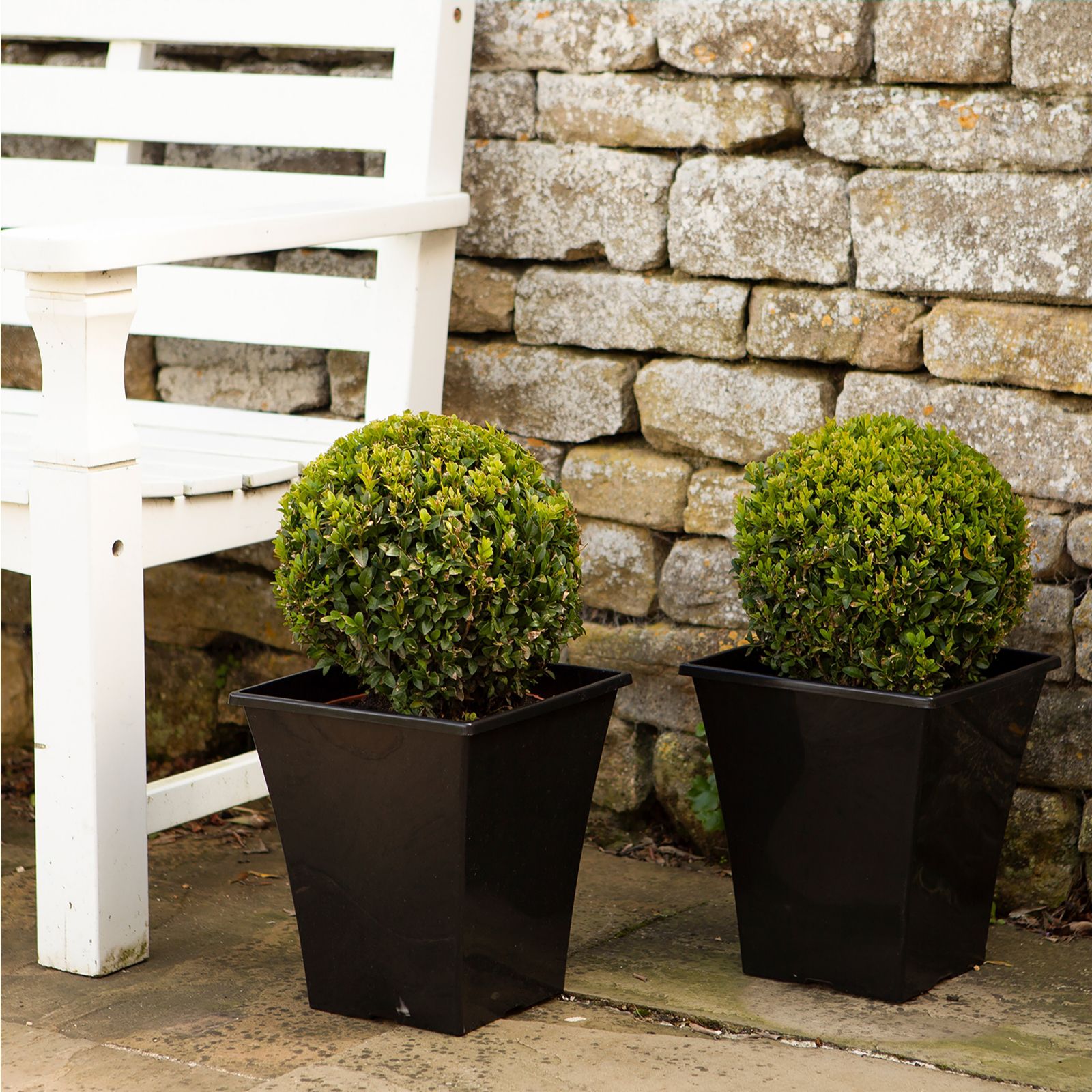 YouGarden Pair of Buxus Box Balls 20cm diameter - QVC UK