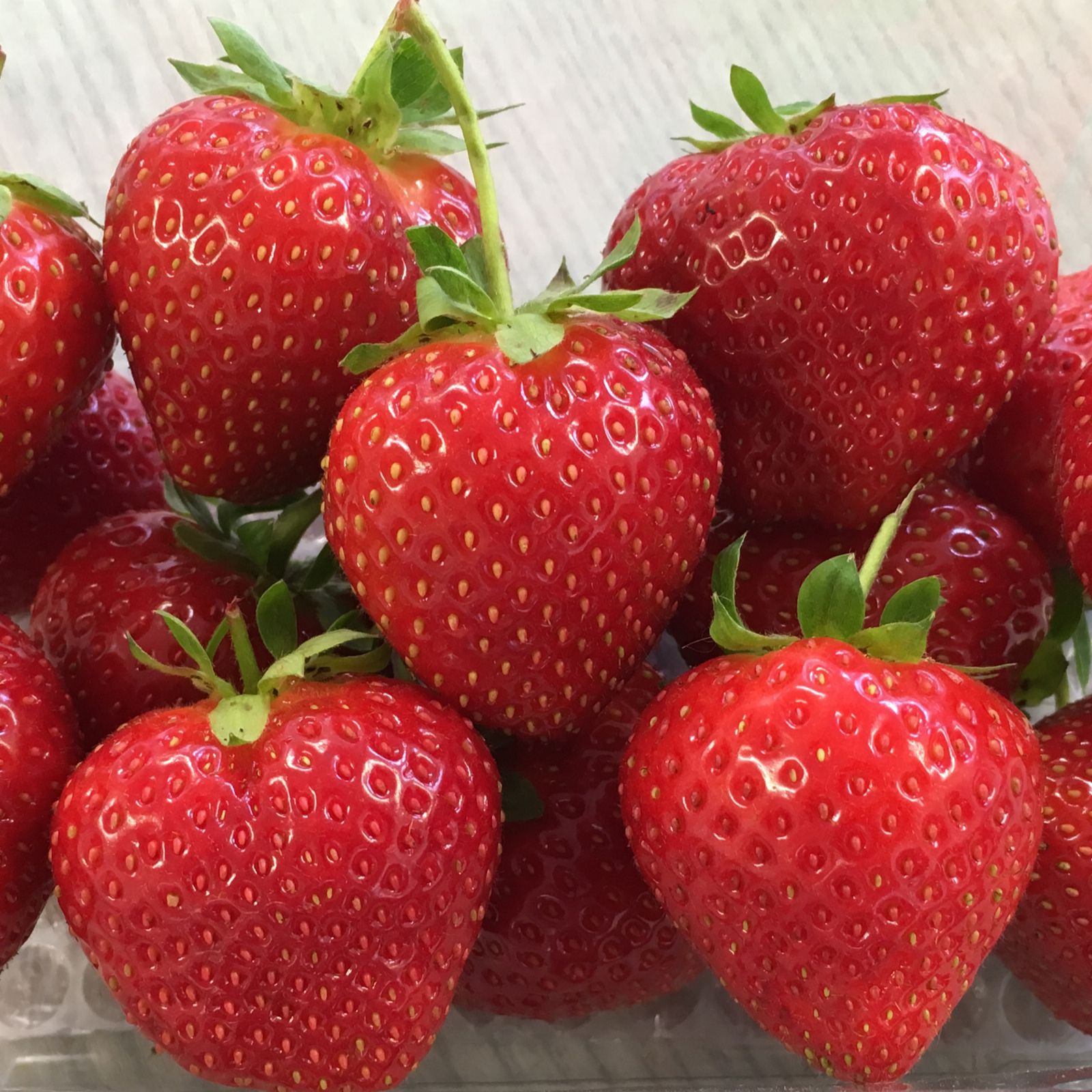 Richard Jackson All Season Long Strawberries 15x Bare Root Plants - QVC UK