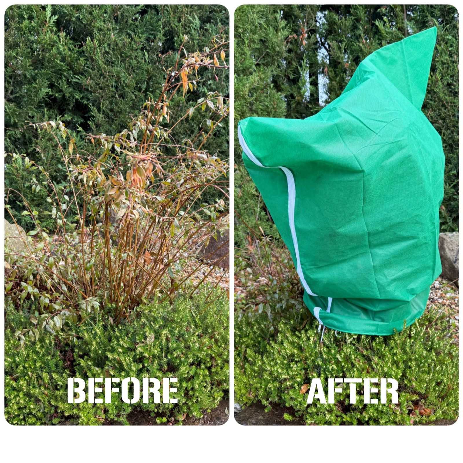 SFIXX Tree and Plant Protection Cover Pack of 4 - QVC UK