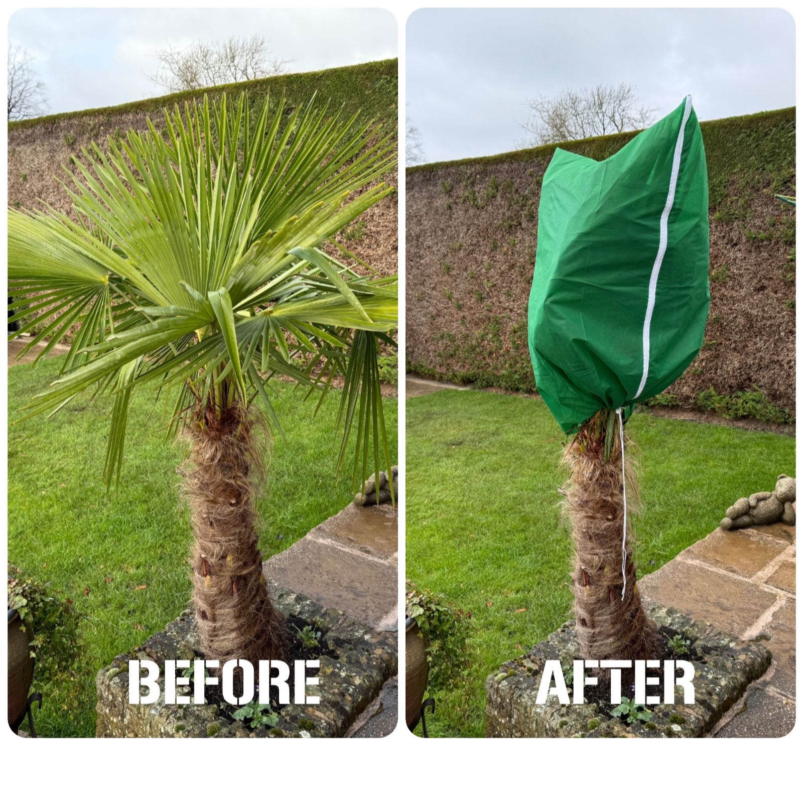 SFIXX Tree and Plant Protection Cover Pack of 4 - QVC UK