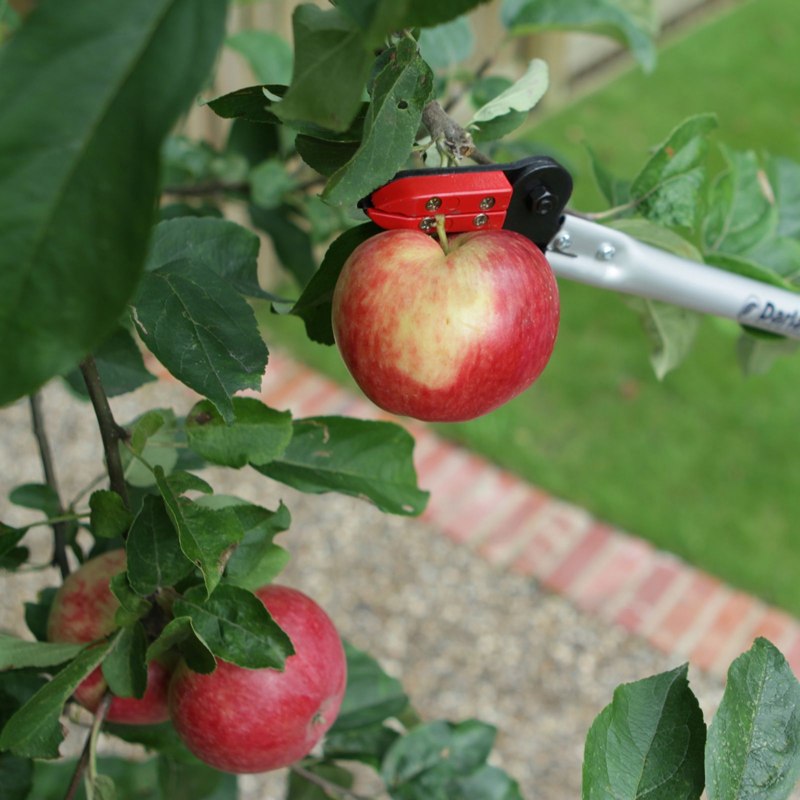 Darlac 650mm Garden Snapper - QVC UK