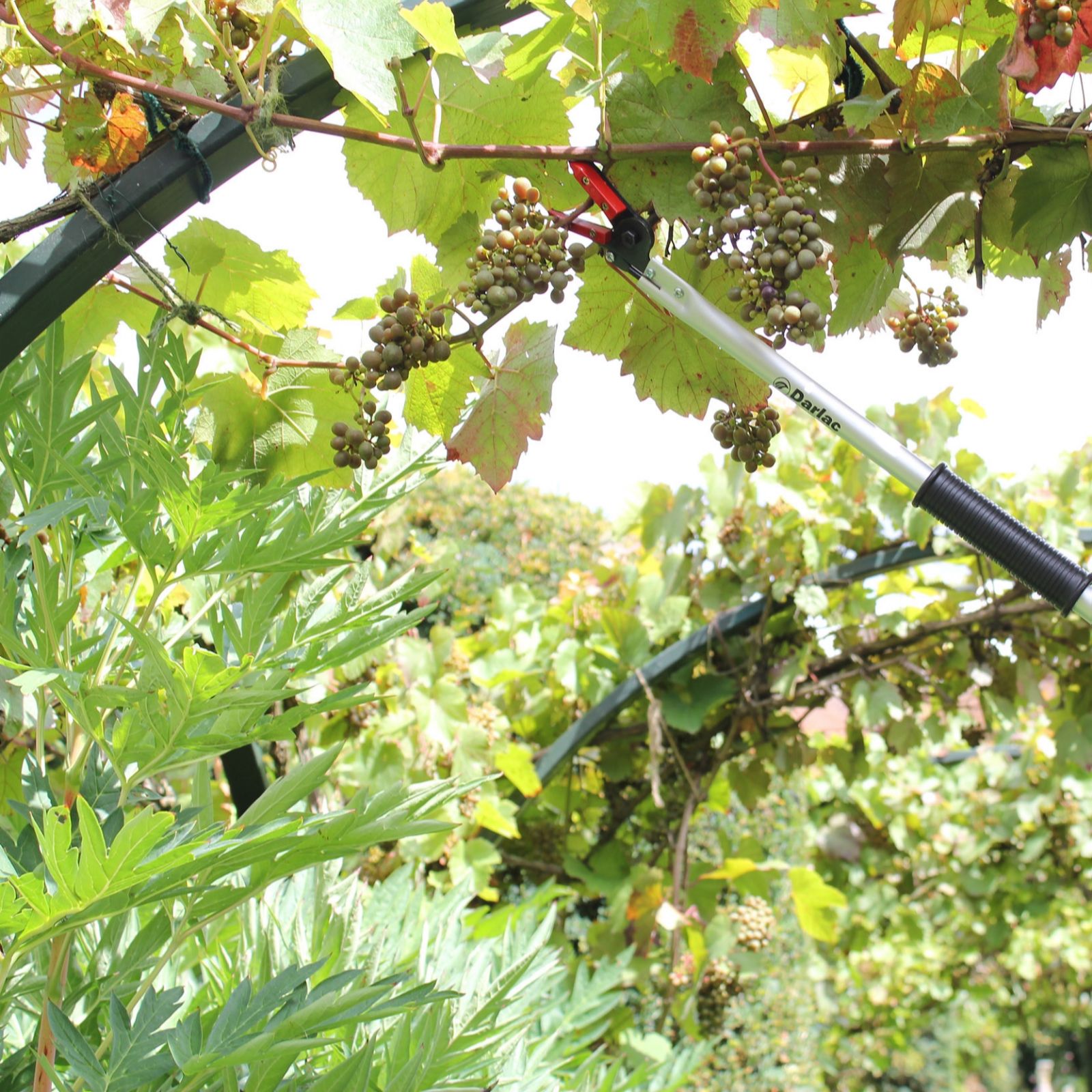 Darlac 650mm Garden Snapper - QVC UK