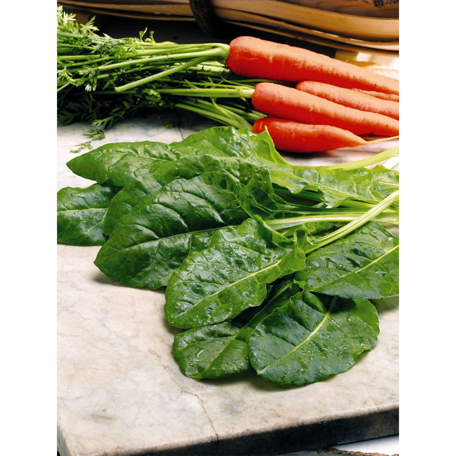 Spinach Perpetual (Spinach Beet) 1 Packet - QVC UK