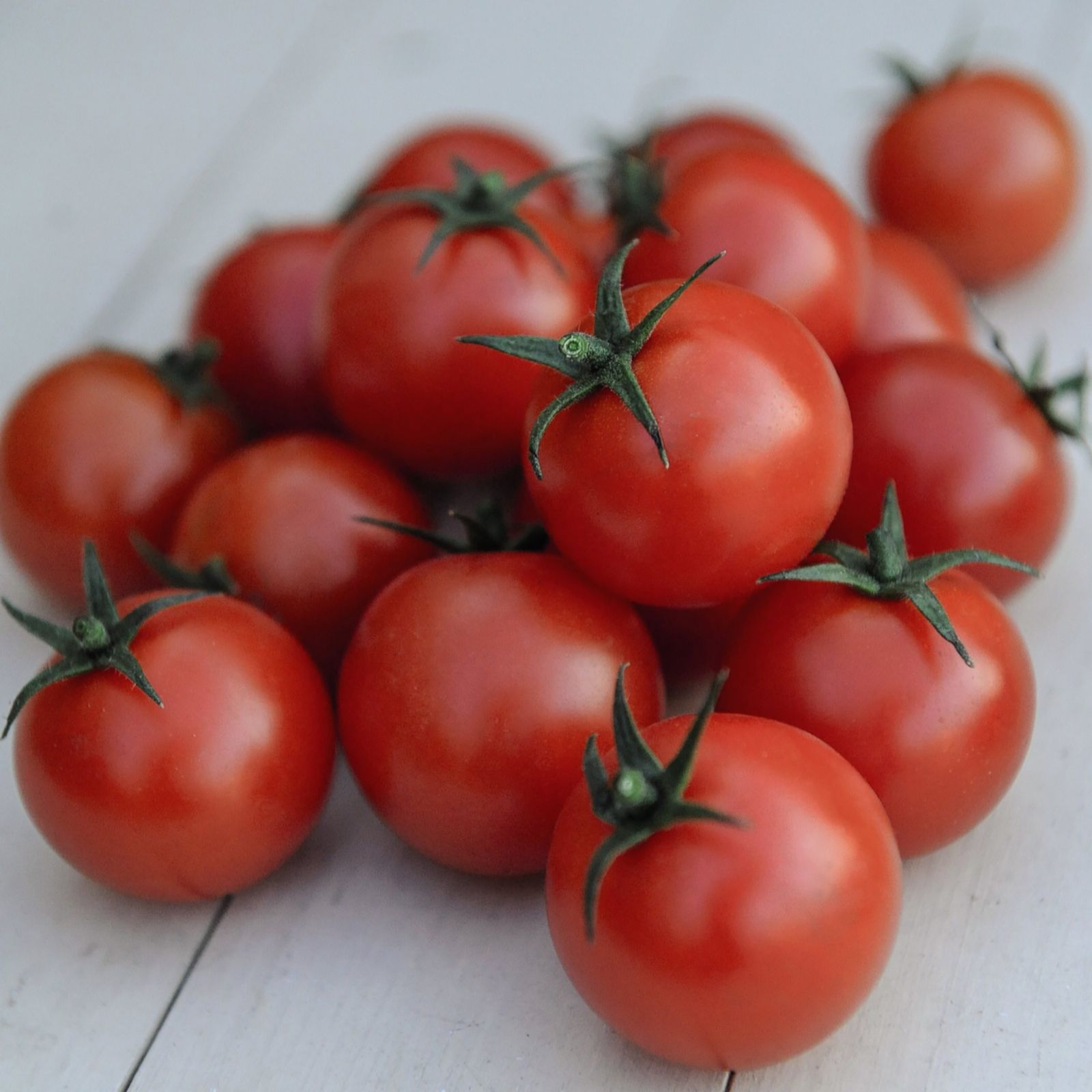 Tomato Seed Packet x 2 Incredicrop Grow Bag 35 Litre Bag x 1 - QVC UK