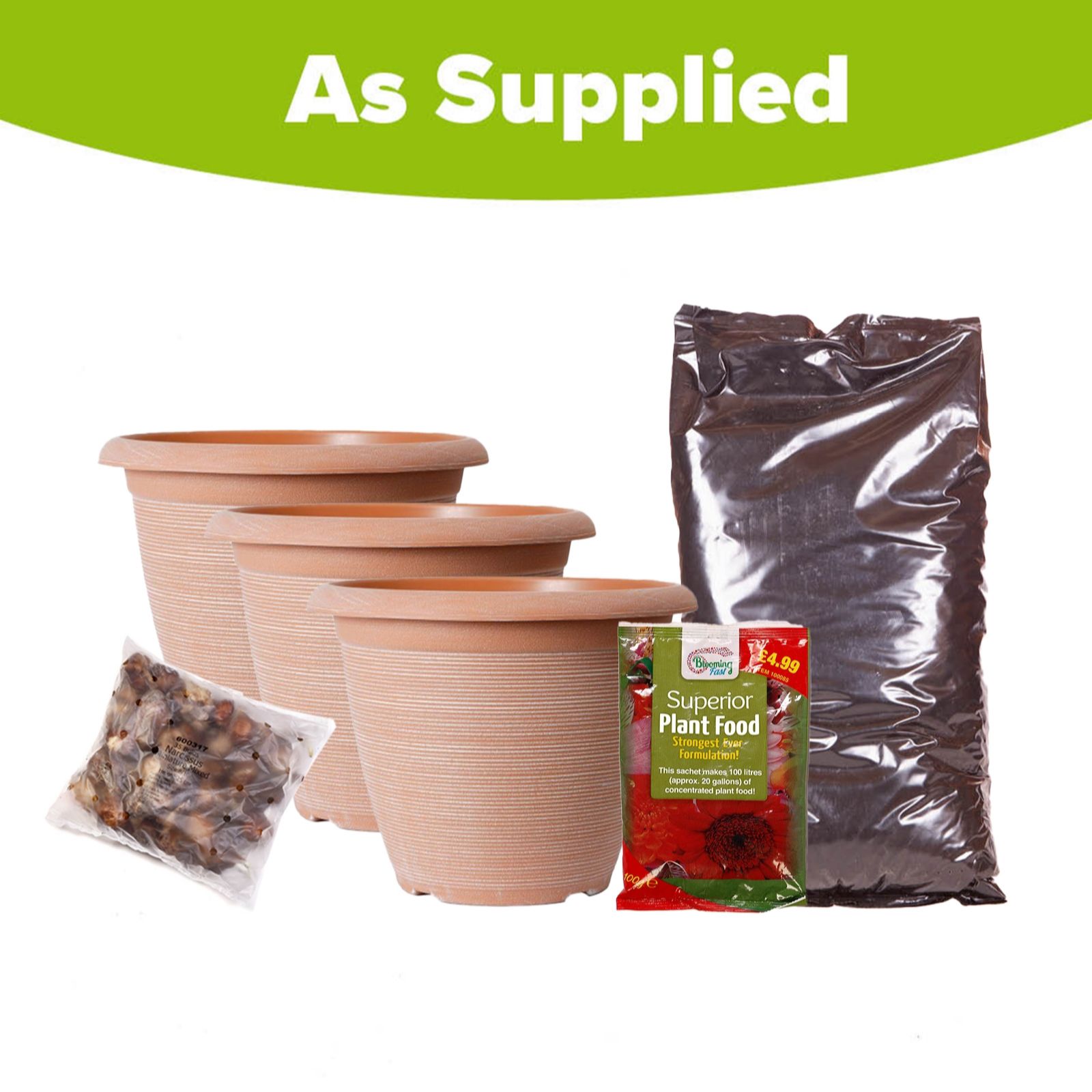 YouGarden Mixed Narcissus Mini with Planters, Compost & Fertiliser - QVC UK