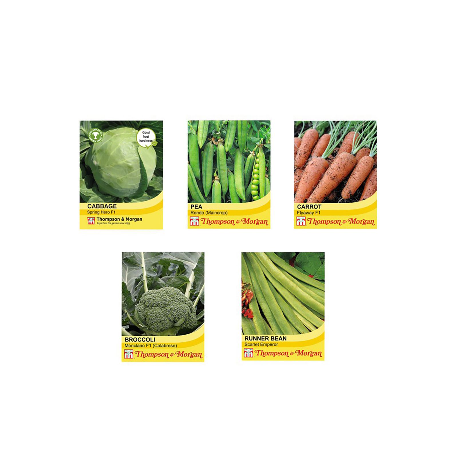 Thompson & Morgan Nurserymans Choice Vegetable Seed 25 Packets Fibre ...
