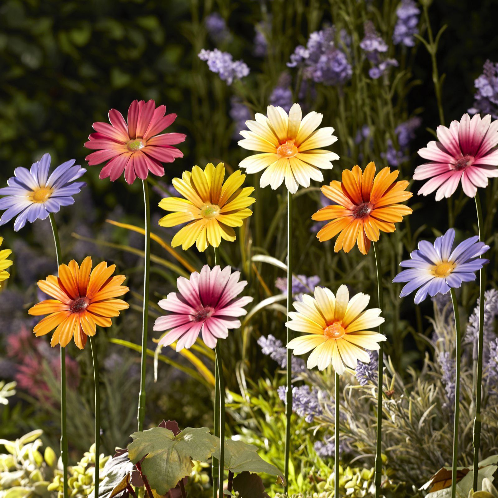 Garden Gear Metal Daisy Flower 6 Set - QVC UK