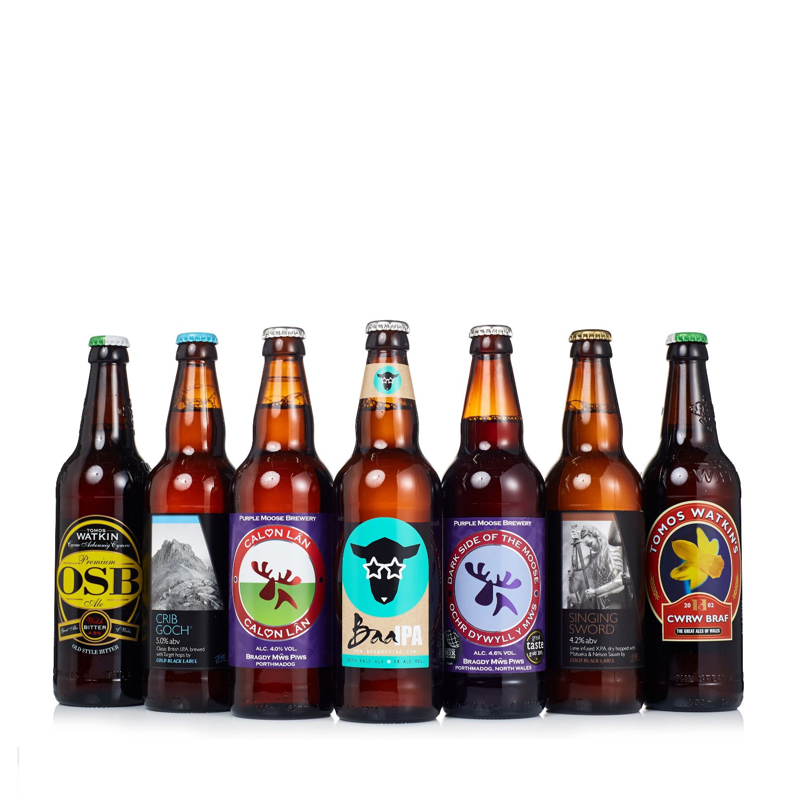Best of British Beer Set of 12 Welsh Beer Selection - QVC UK