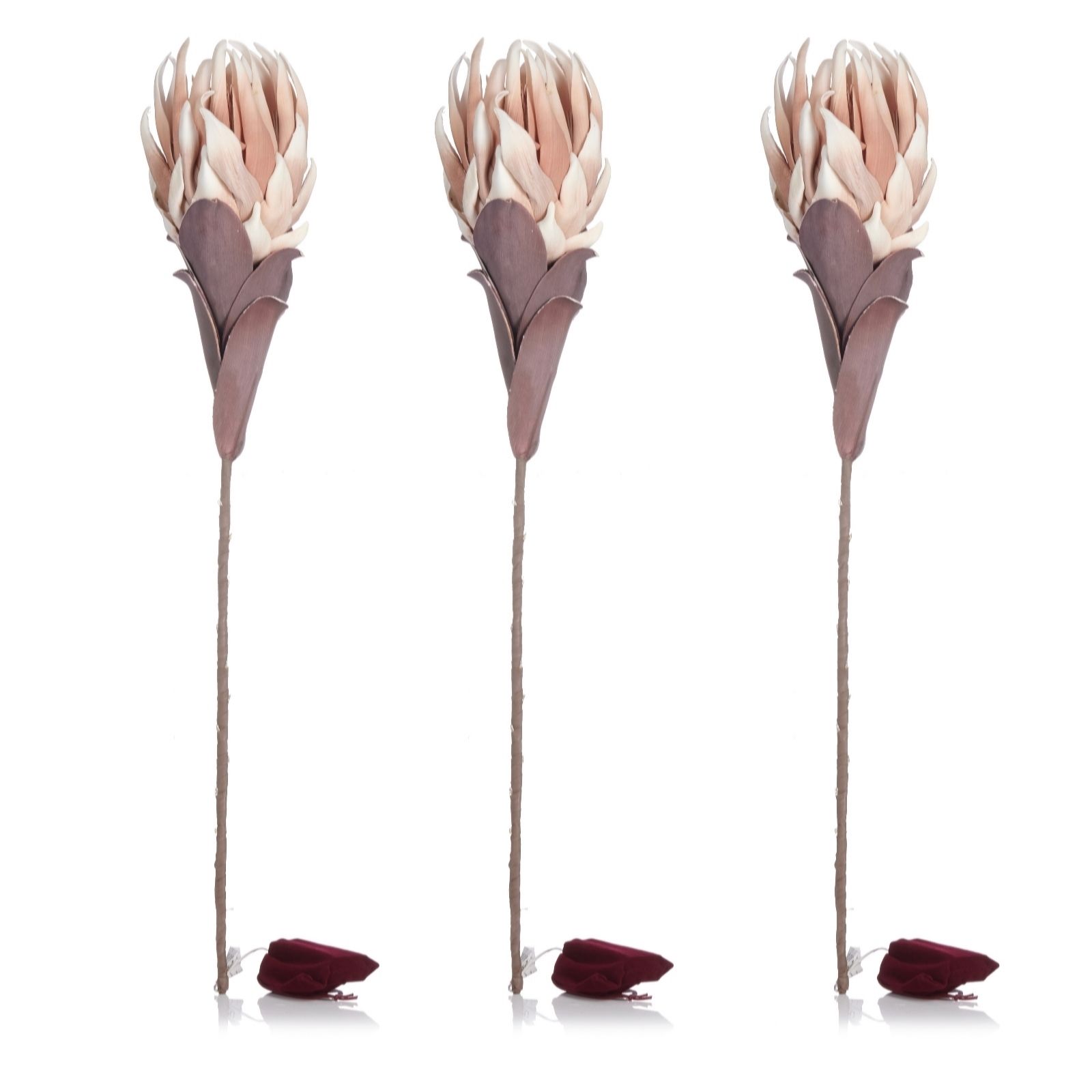 Outlet Alison Cork set of 3 Protea pre lit faux floral stems - QVC UK