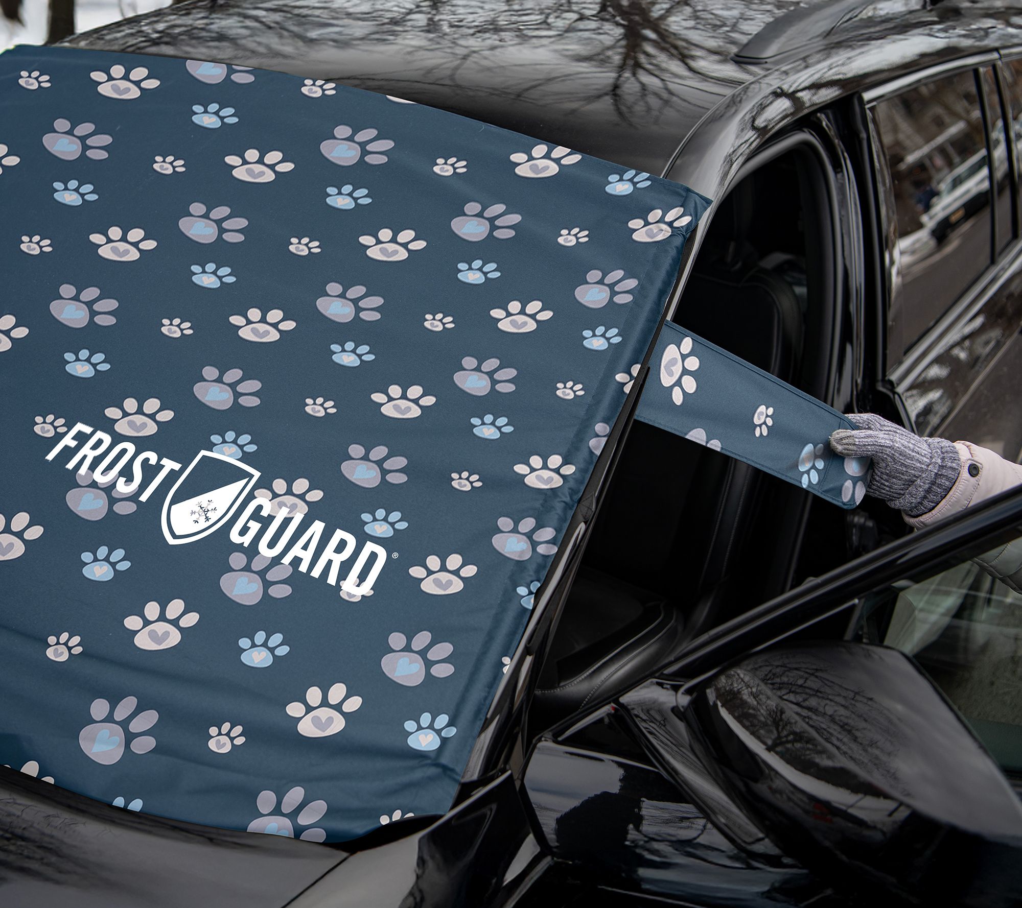 FrostGuard Standard or XL Windshield and Mirror Protector - QVC.com