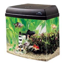 Eclipse System 6 Gallon Aquarium - QVC.com